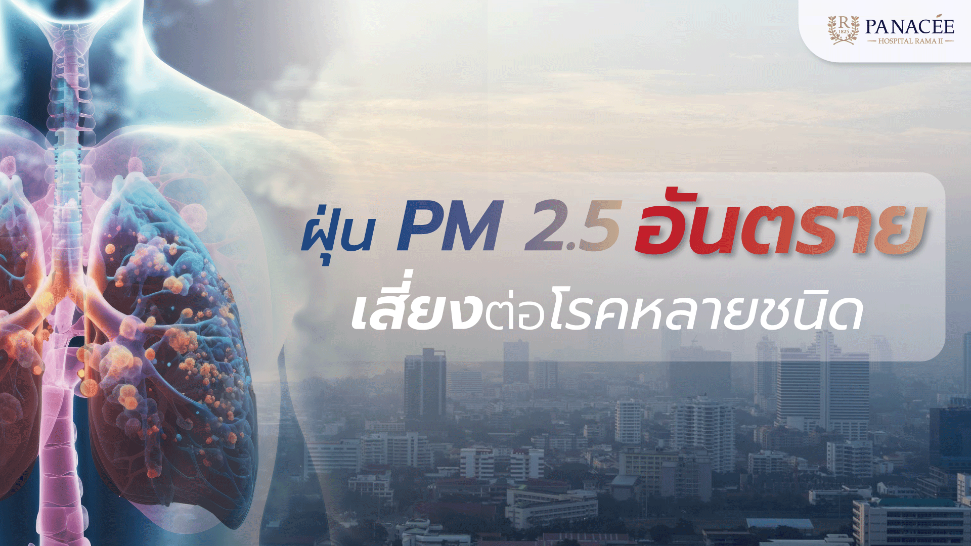 ฝุ่น PM 2.5 อันตรายที่คุณต้องรู้ เสี่ยงต่อโรคหลายชนิด